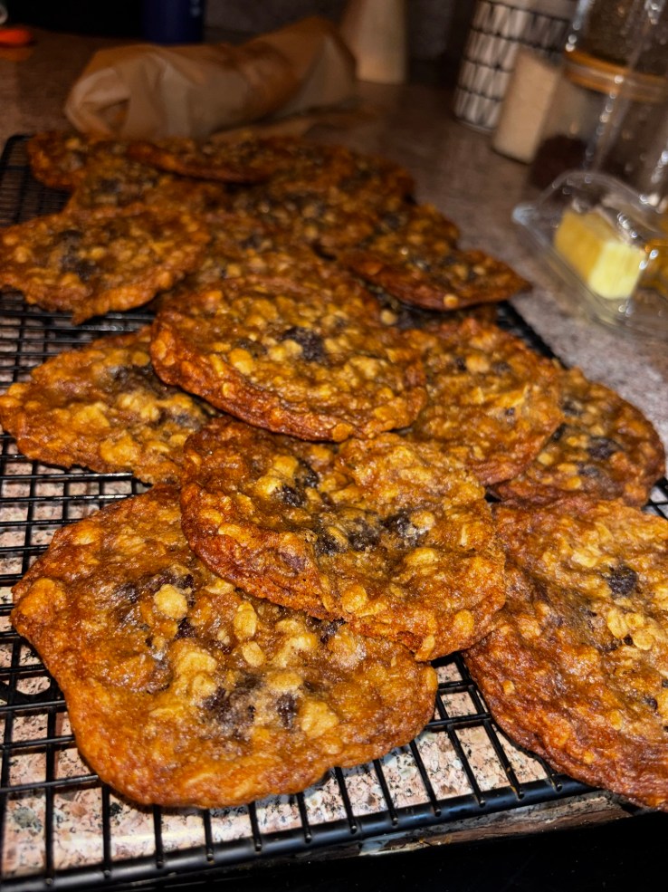 Dark Chocolate Chip Oatmeal Cookies – The Wild Gems